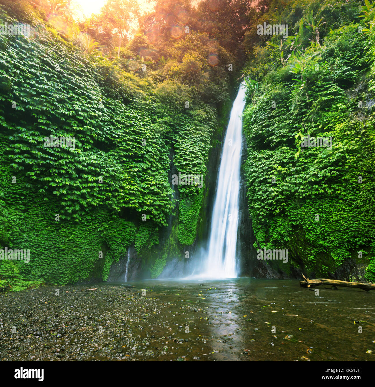 Waterfall in Indonesian jungle Stock Photo - Alamy