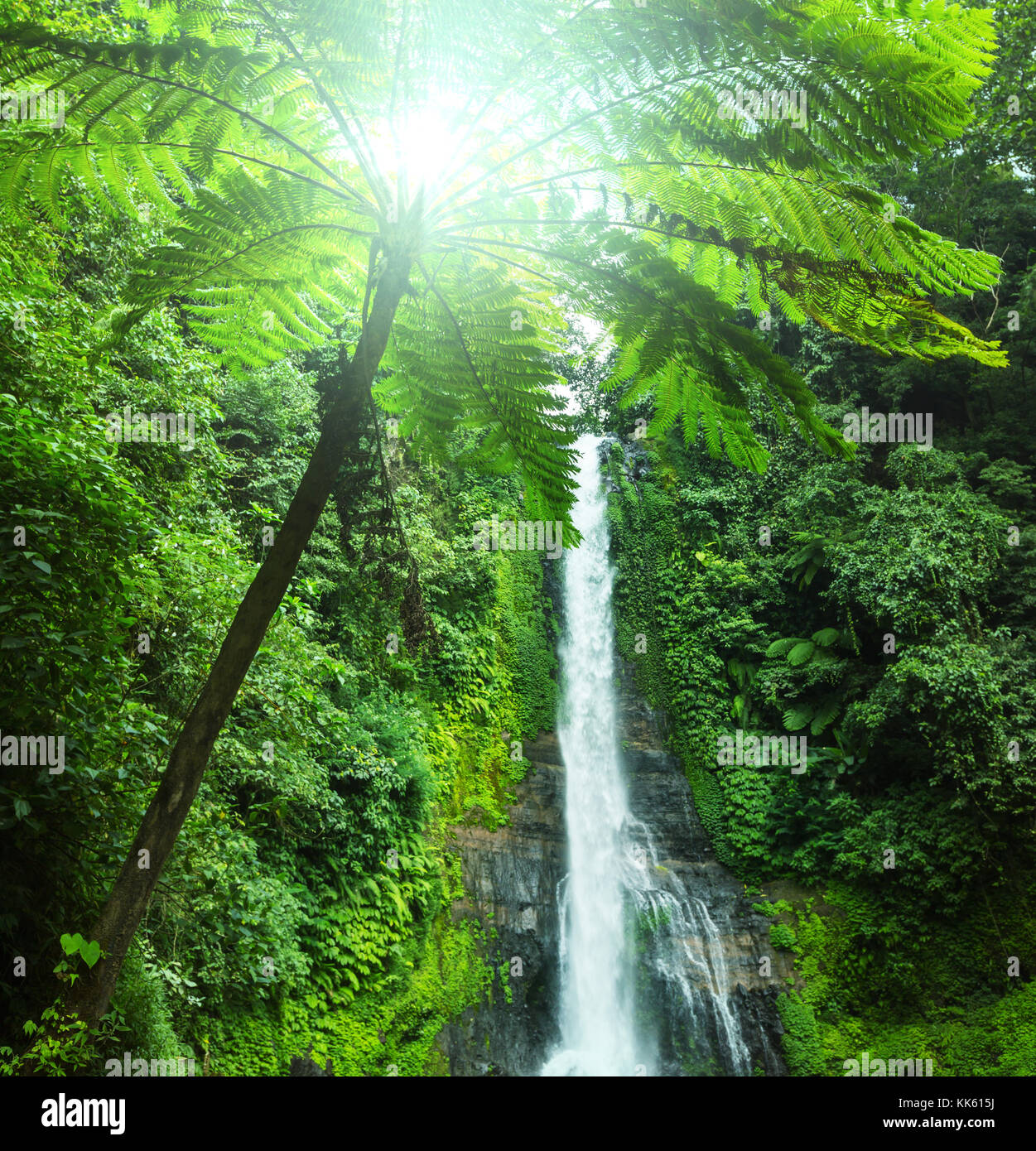 Waterfall in Indonesian jungle Stock Photo - Alamy