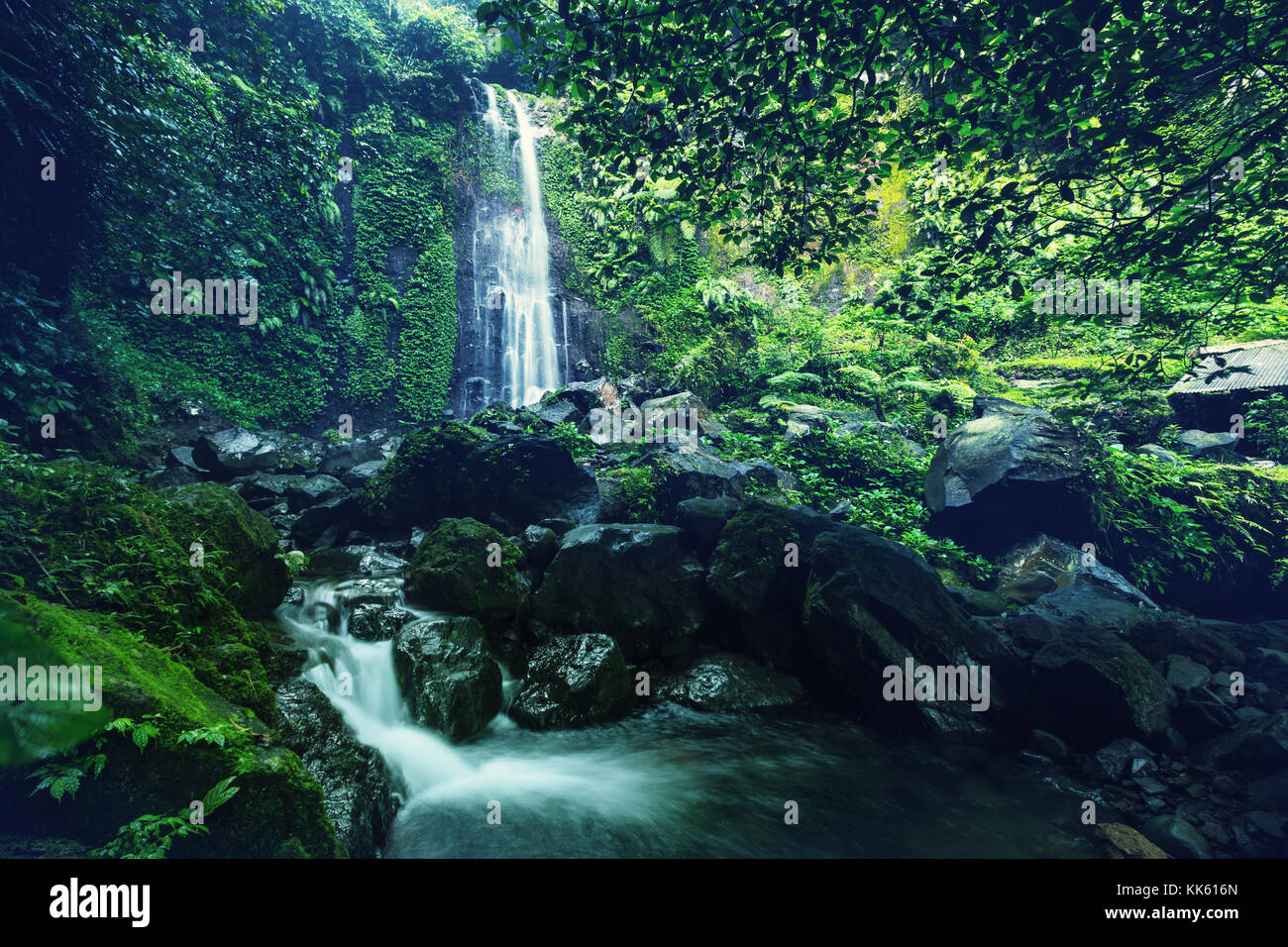 Waterfall in Indonesian jungle Stock Photo - Alamy