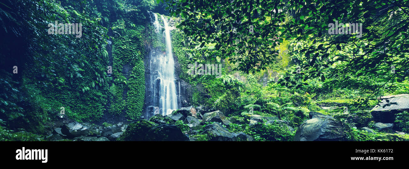 Waterfall in Indonesian jungle Stock Photo - Alamy