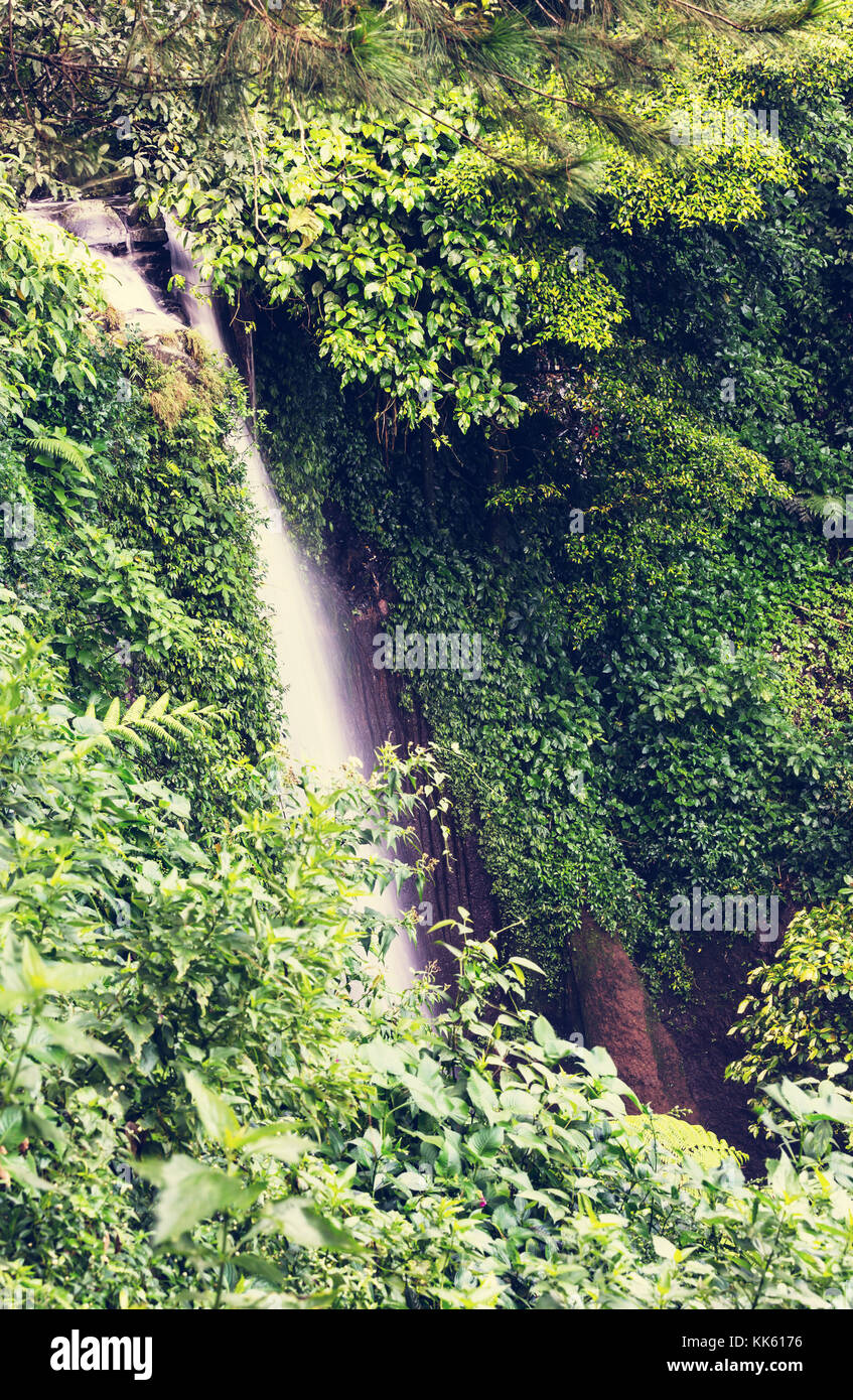 Waterfall in Indonesian jungle Stock Photo - Alamy