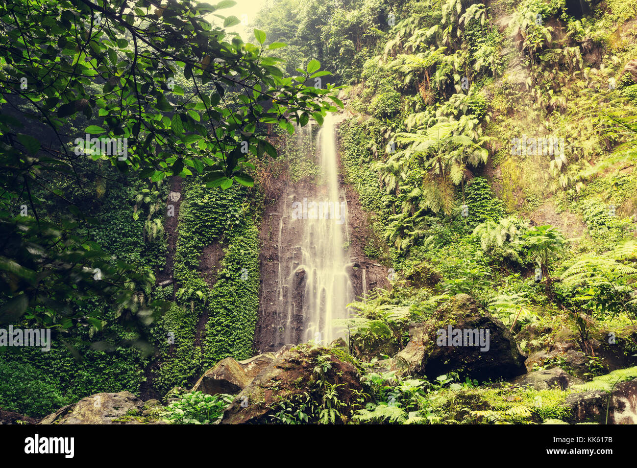 Waterfall in Indonesian jungle Stock Photo - Alamy