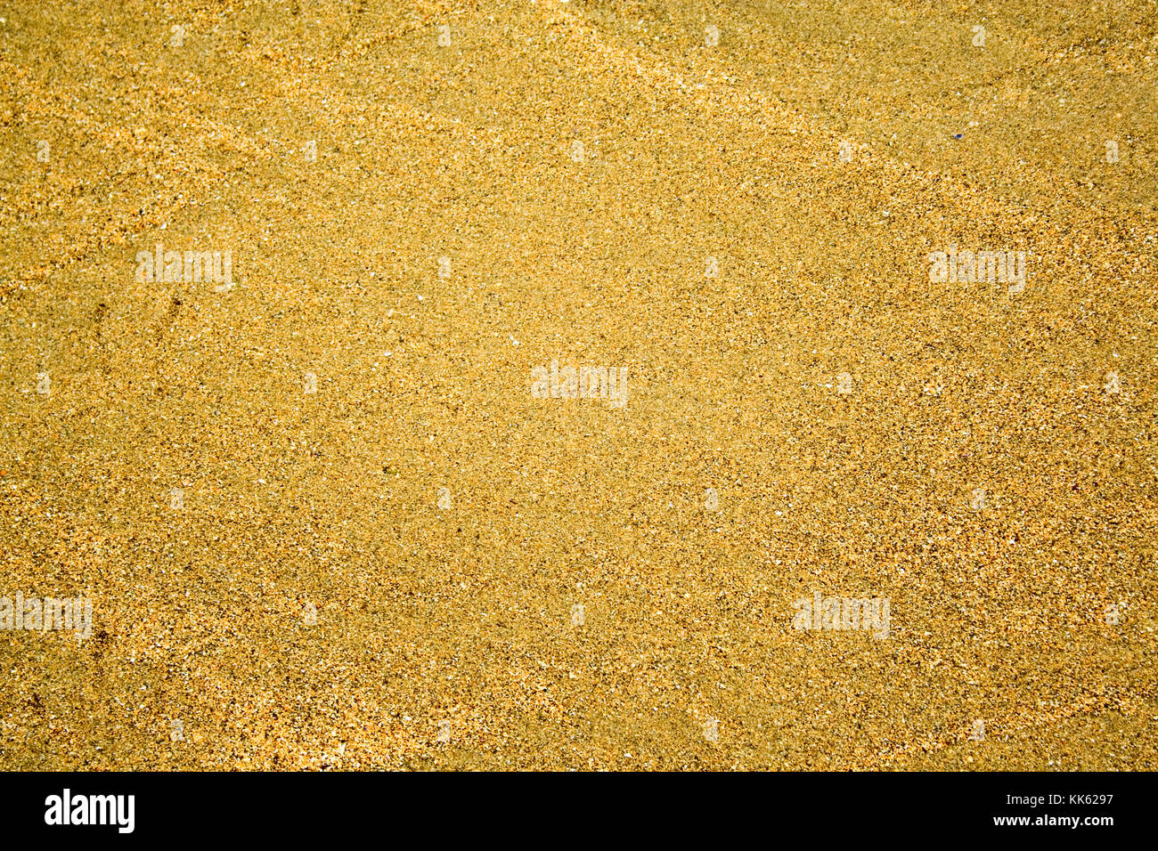 Background of golden sand all over the frame Stock Photo - Alamy