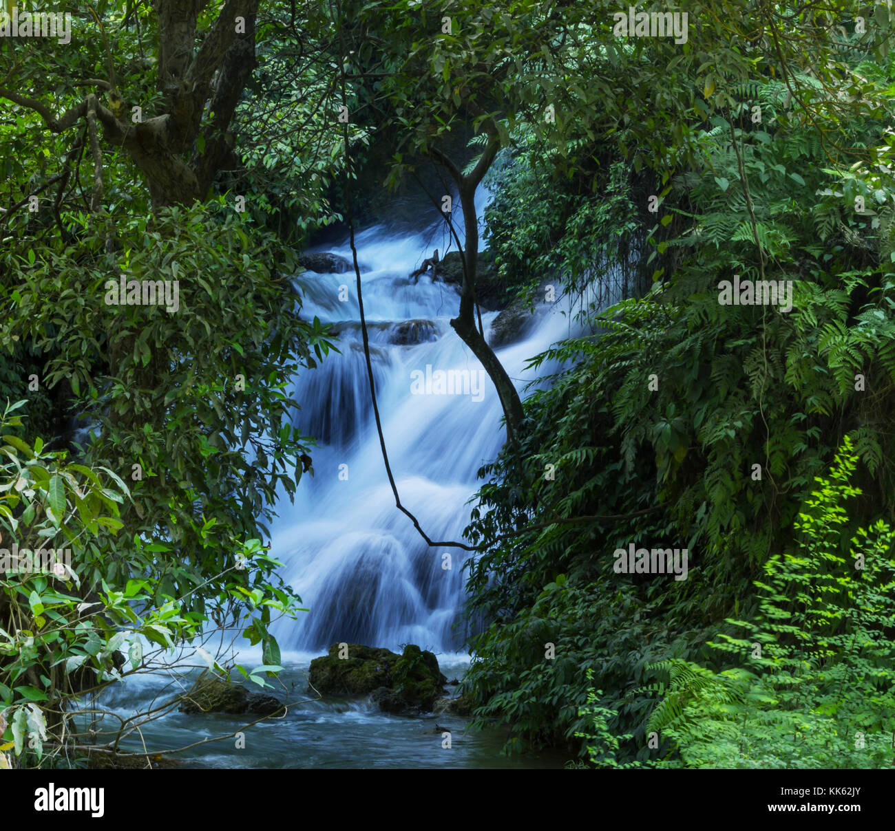Waterfall in green forest Stock Photo - Alamy
