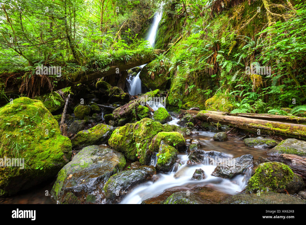 Waterfall in green forest Stock Photo - Alamy