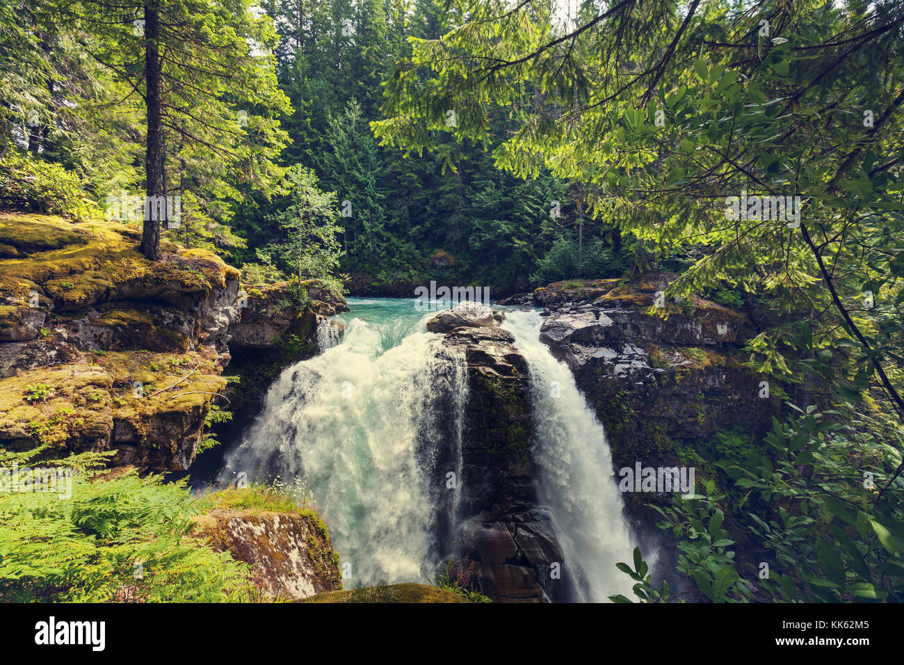 Waterfall in spring forest Stock Photo - Alamy
