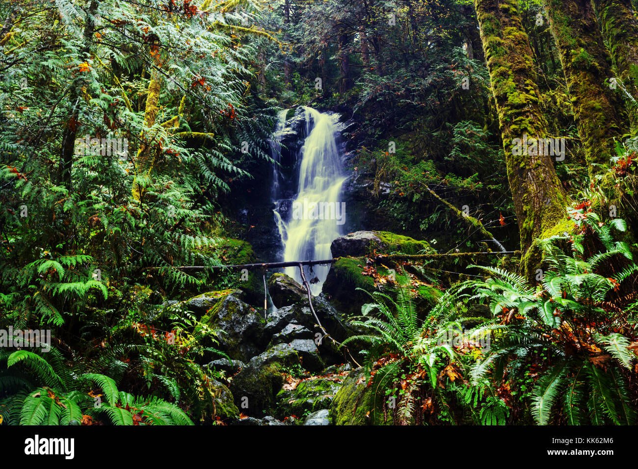 Waterfall in spring forest Stock Photo - Alamy