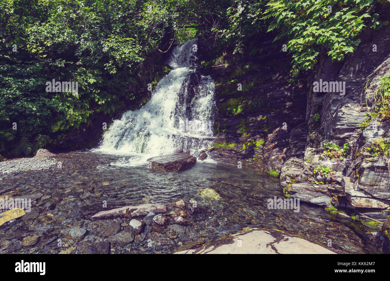 Waterfall in spring forest Stock Photo - Alamy