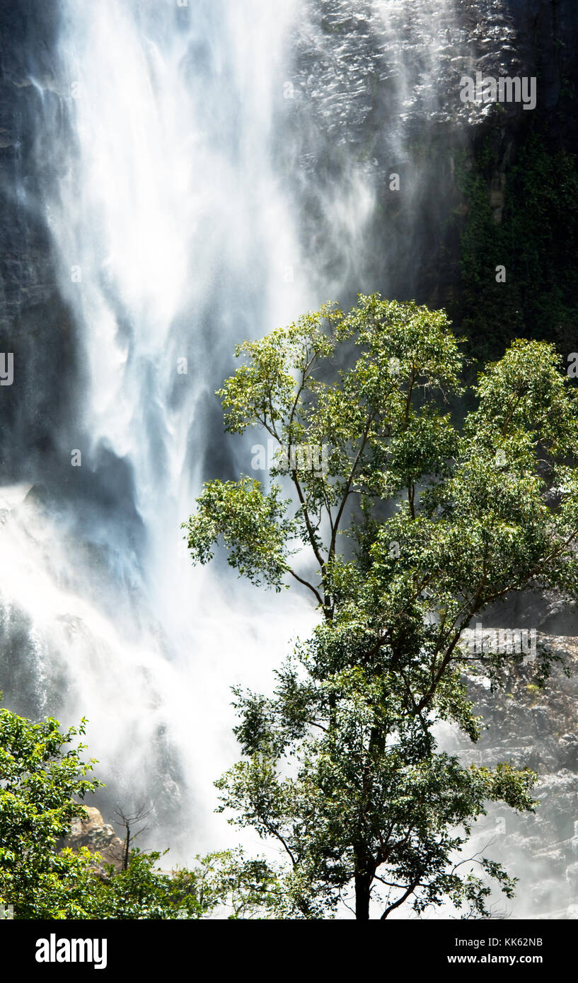 Waterfall on Sri Lanka,Horton Place Stock Photo - Alamy