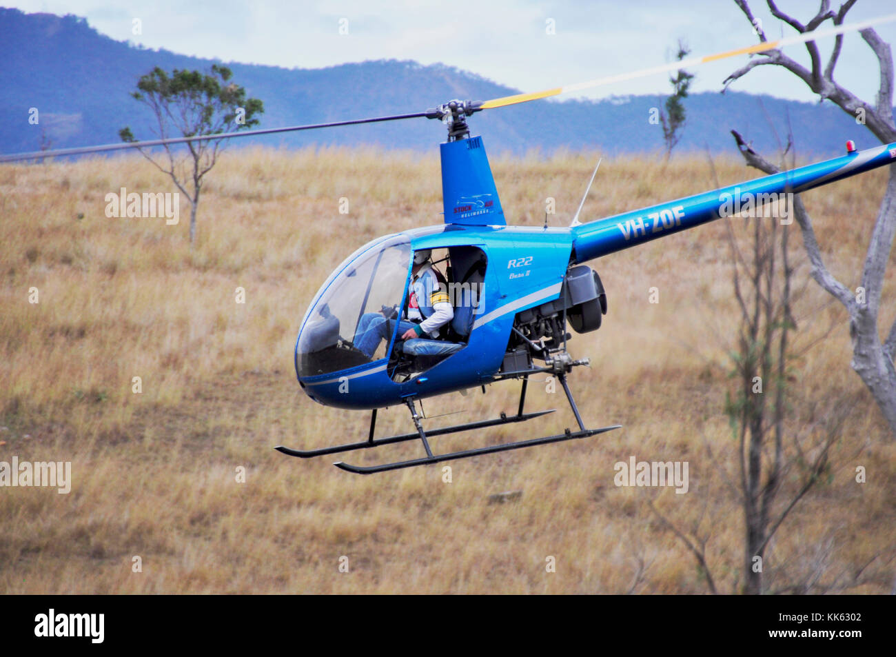 Mustering Queensland High Resolution Stock Photography and Images - Alamy