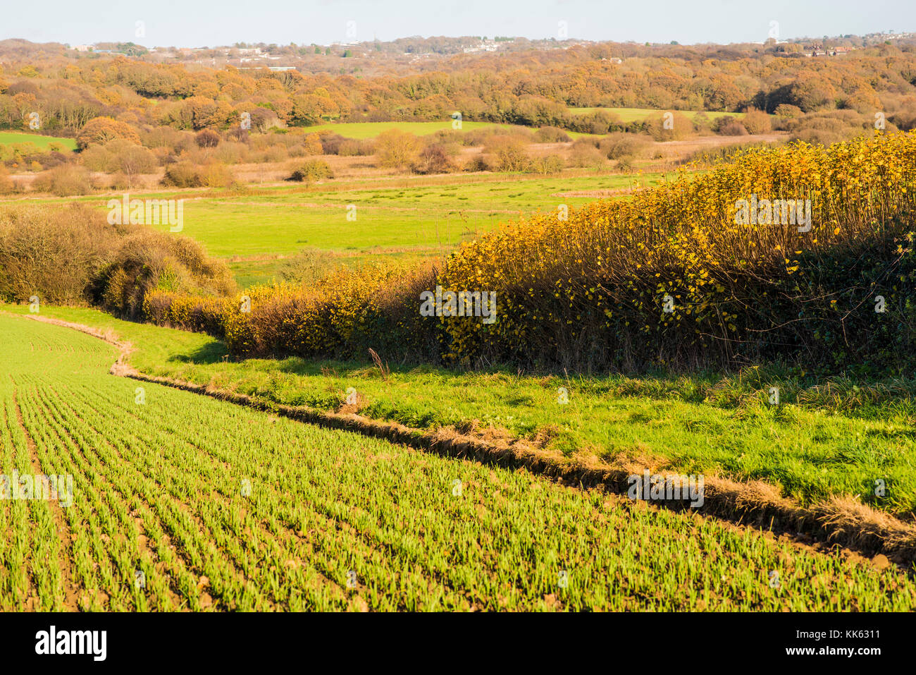 Combe Valley is a wildlife reserve but also populated by farms with new ...
