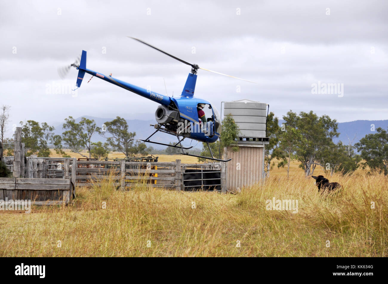 Chopper muster hi-res stock photography and images - Alamy