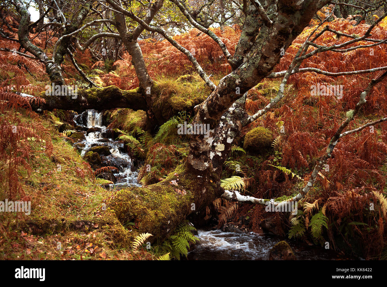 Inverkirkaig falls walk hi-res stock photography and images - Alamy