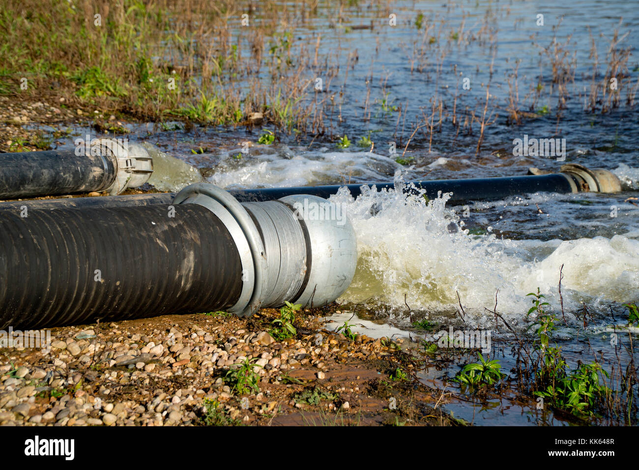Earlswood lakes hi-res stock photography and images - Alamy