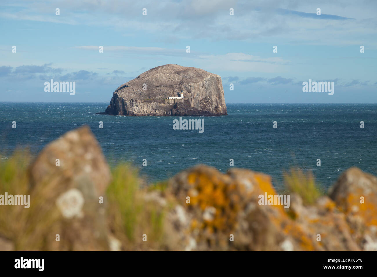 Bass Rock near North Berwick East Lothian Scotland Stock Photo - Alamy