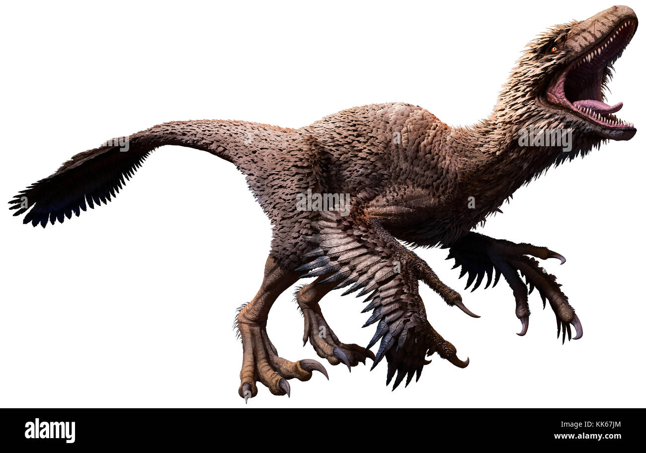 Utahraptor Federn Velociraptor: Descubre Más Sobre Este Dinosaurio