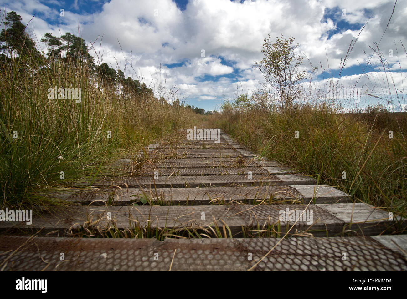 Nature walk uk summer hi-res stock photography and images - Alamy