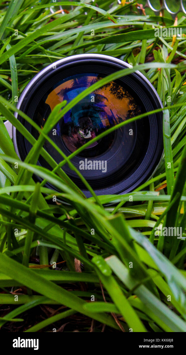 Focus through Nature Stock Photo - Alamy