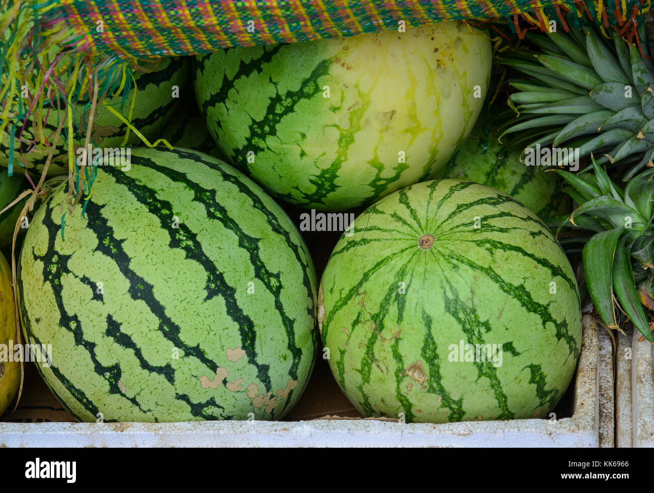 Sweet green watermelons at the street market in Coron Island ...