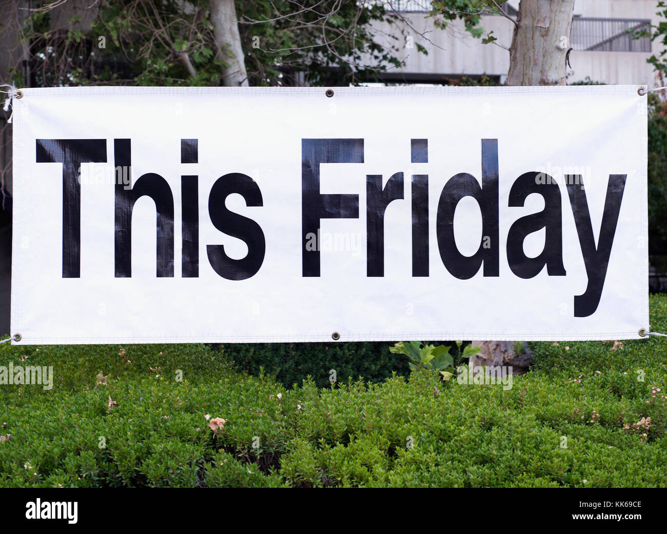 A sign saying "This Friday Stock Photo - Alamy