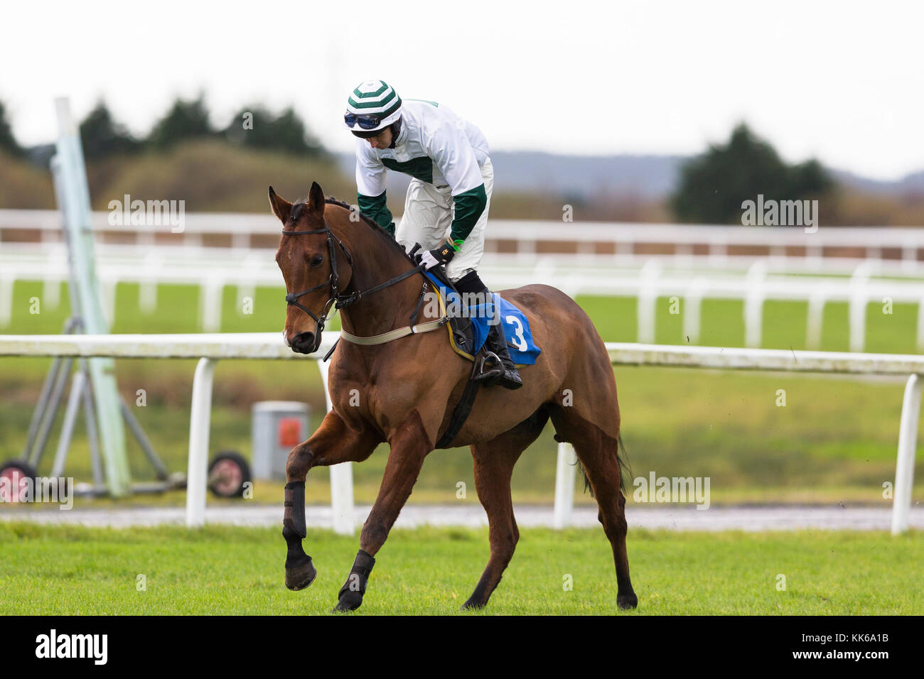 Racehorse hi-res stock photography and images - Alamy