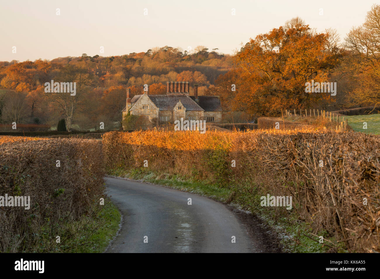 Country lane and hedgerow with Bateman's House in distance in winter ...
