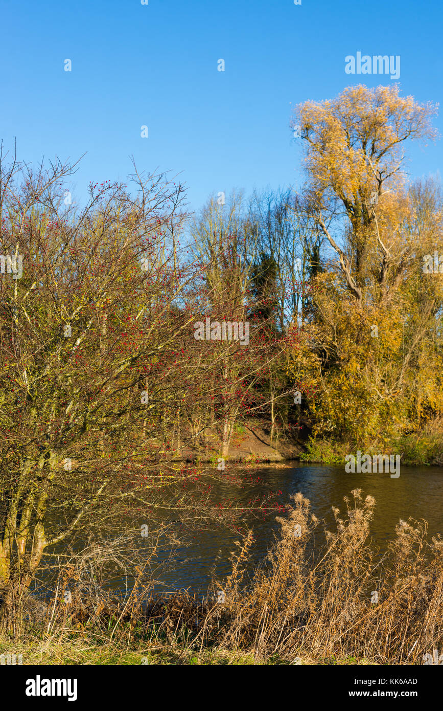 Hemingford gray hi-res stock photography and images - Alamy