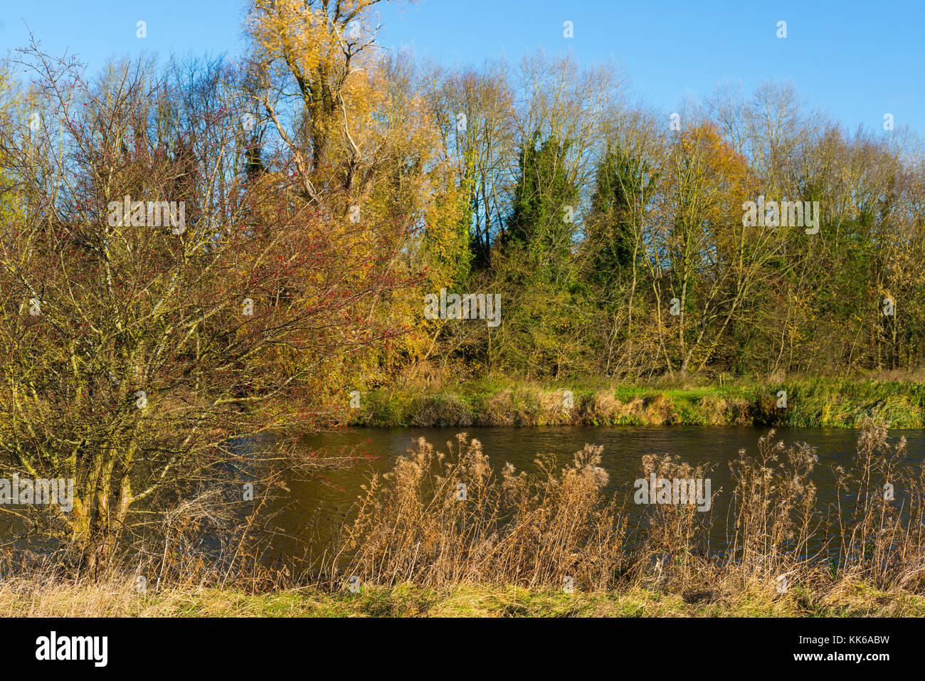 Hemingford gray hi-res stock photography and images - Alamy