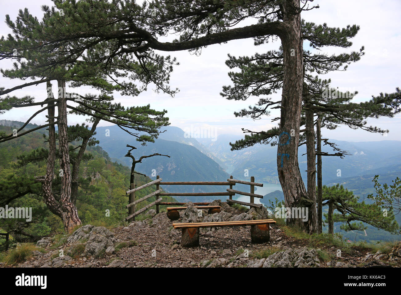 Banjska stena viewpoint Tara mountain Serbia Stock Photo - Alamy