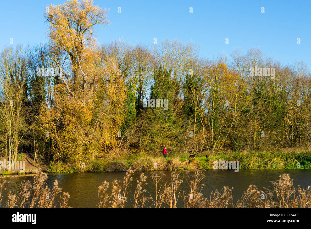 Hemingford gray hi-res stock photography and images - Alamy