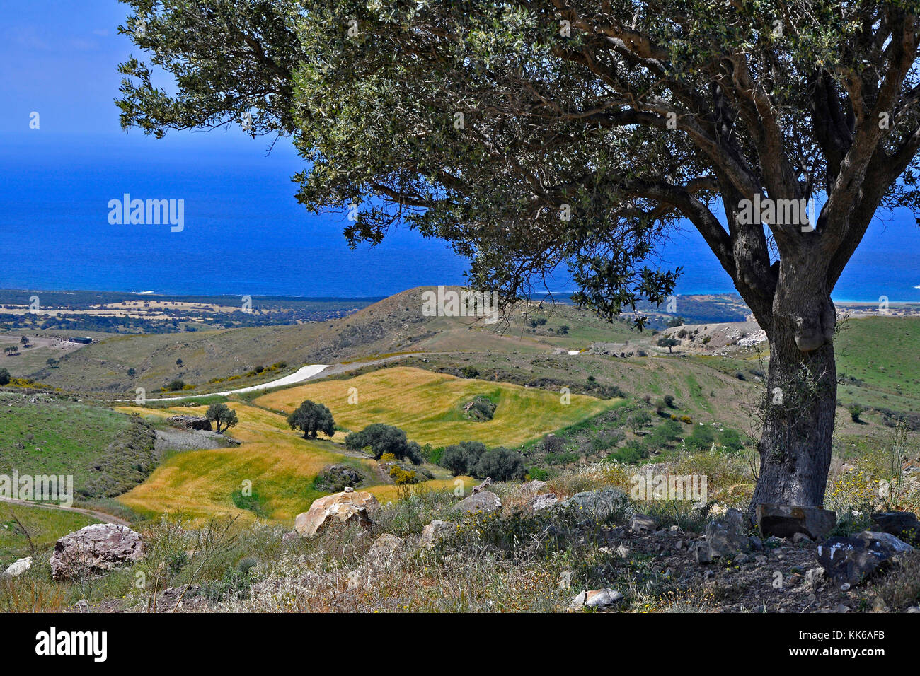 The wild and rugged landscape of the Akamas Conservation area Paphos ...