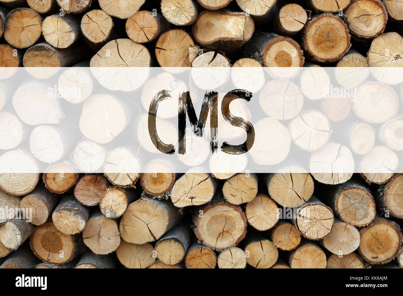 Conceptual announcement text caption inspiration showing CMS Business ...