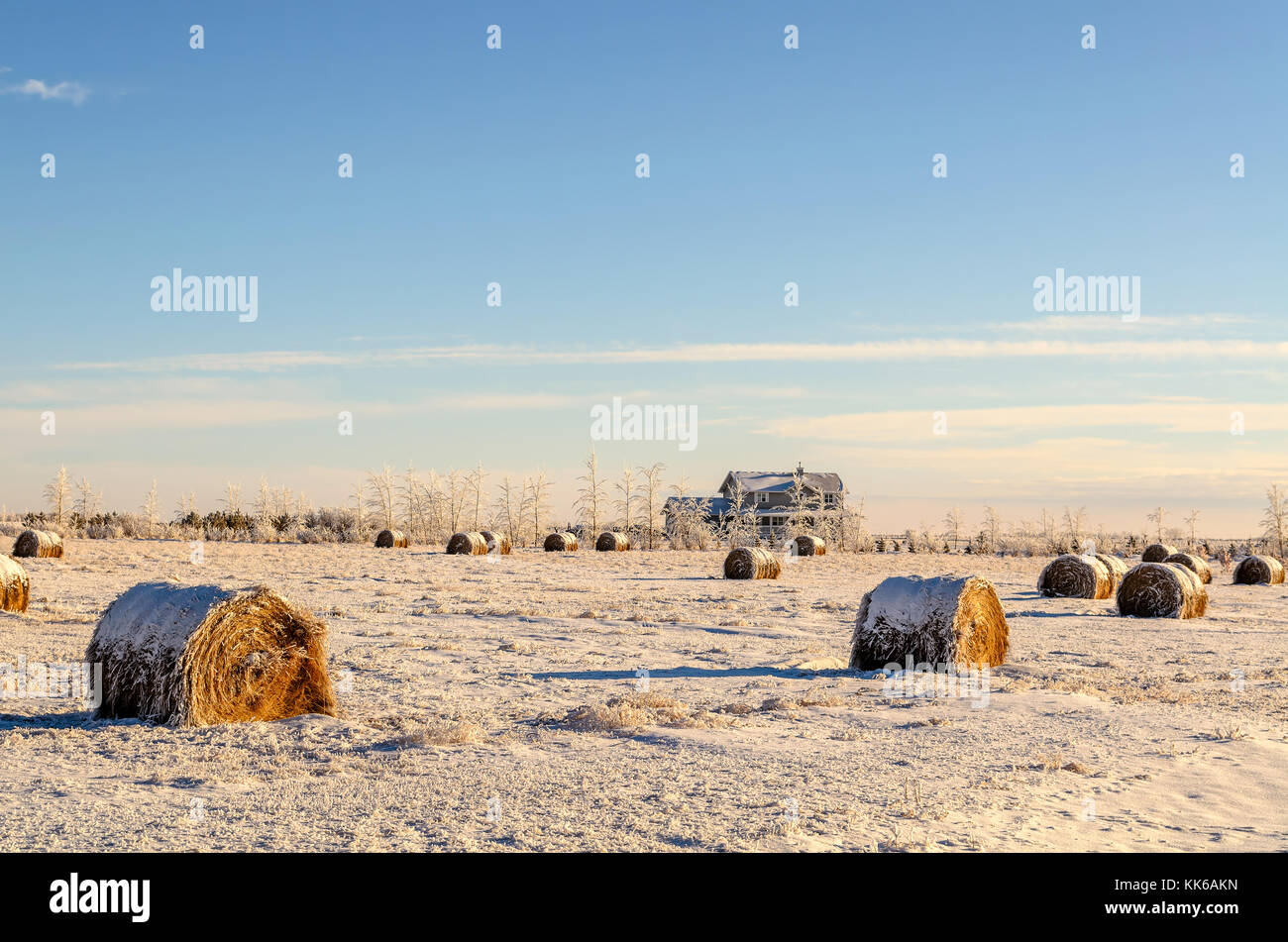 Cold winter and snow on the field in the foreground farmer's house and ...