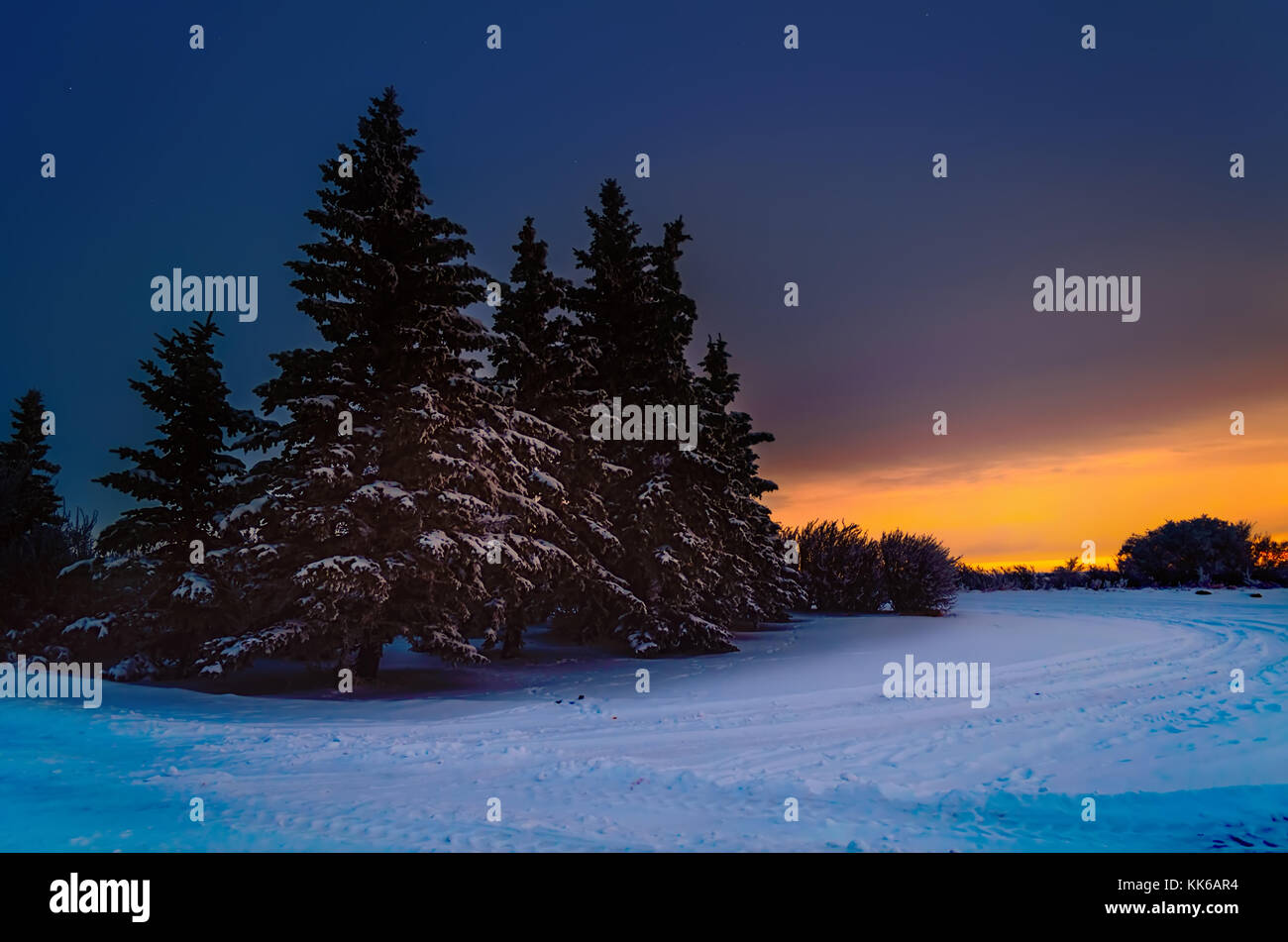 Frosty night hi-res stock photography and images - Alamy