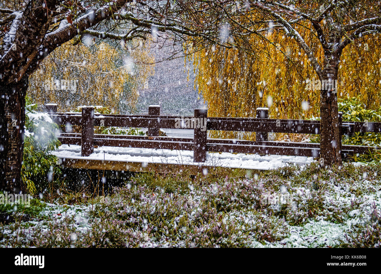 large snow flakes fall on green trees and grass, the bridge crosses the ...