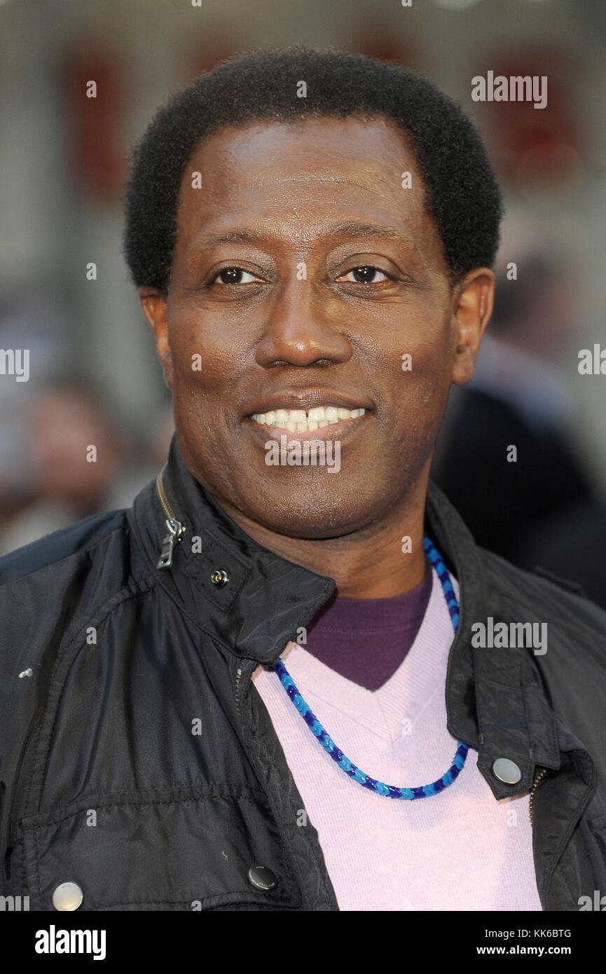 American actor wesley snipes hi-res stock photography and images - Alamy