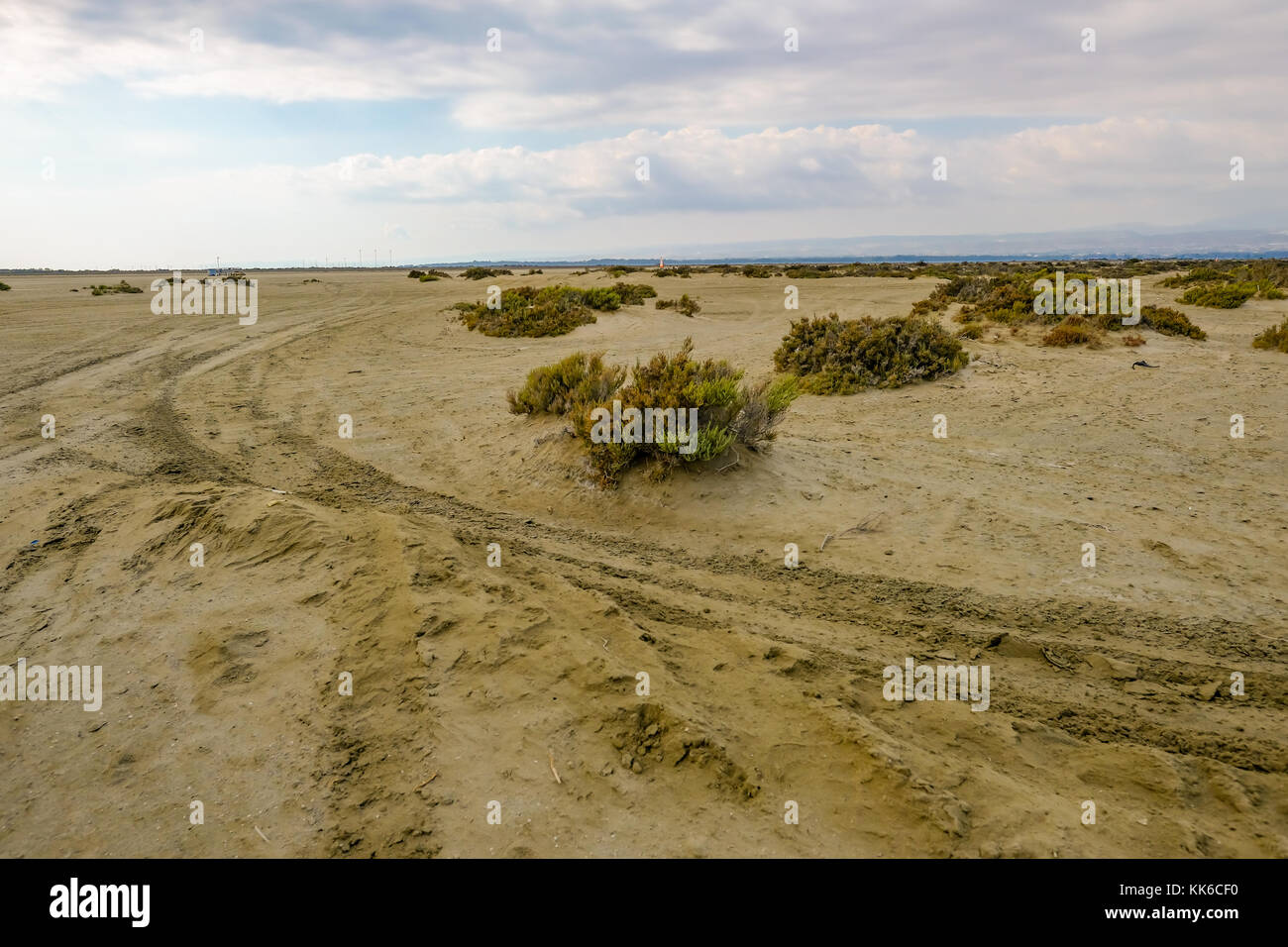 Track in the desert with tyre marks and scrubby growth. Natural and ...