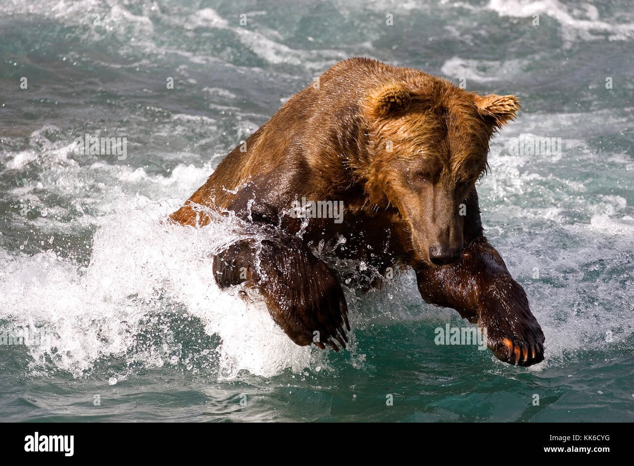 Mcneil river hi-res stock photography and images - Alamy