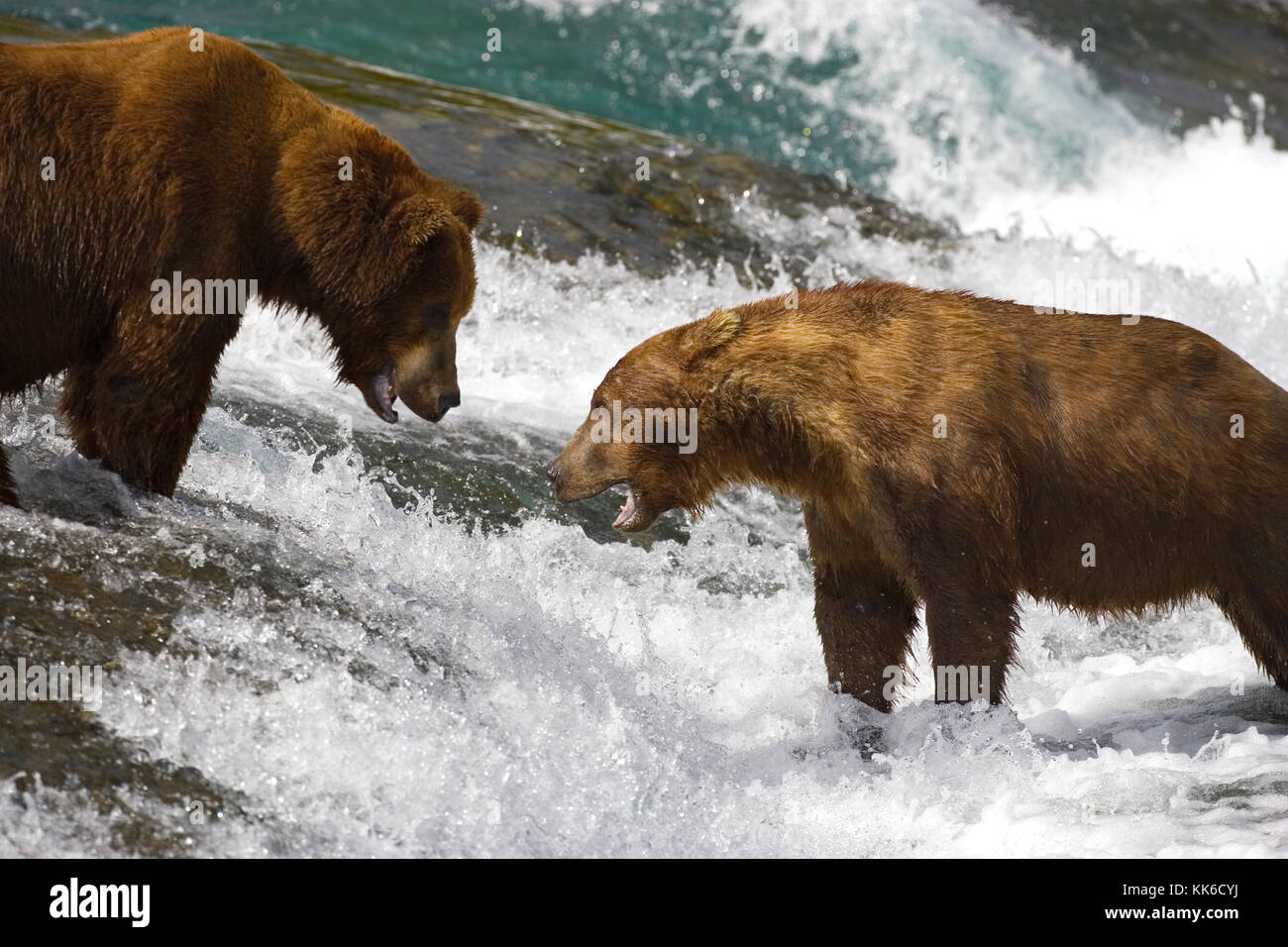 Mcneil river hi-res stock photography and images - Alamy