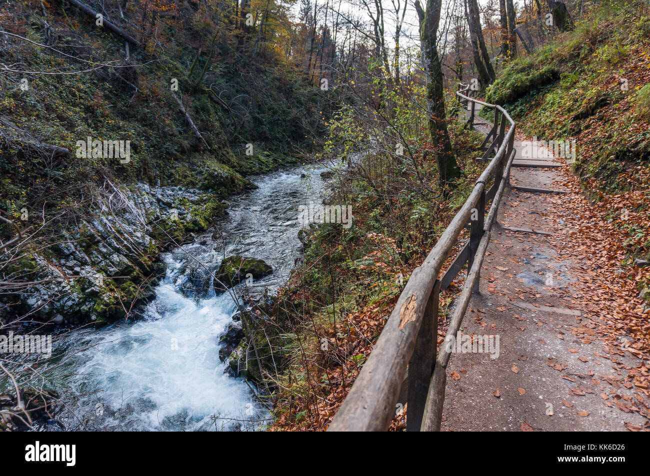 Walking path alongside the Radovna river as it goes through the Vintgar ...