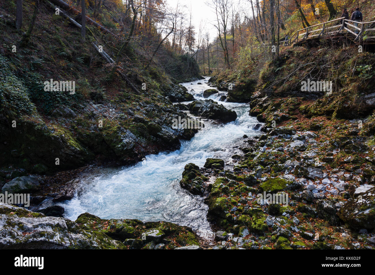 The Radovna river at the entrance to the Vintgar gorge Stock Photo - Alamy