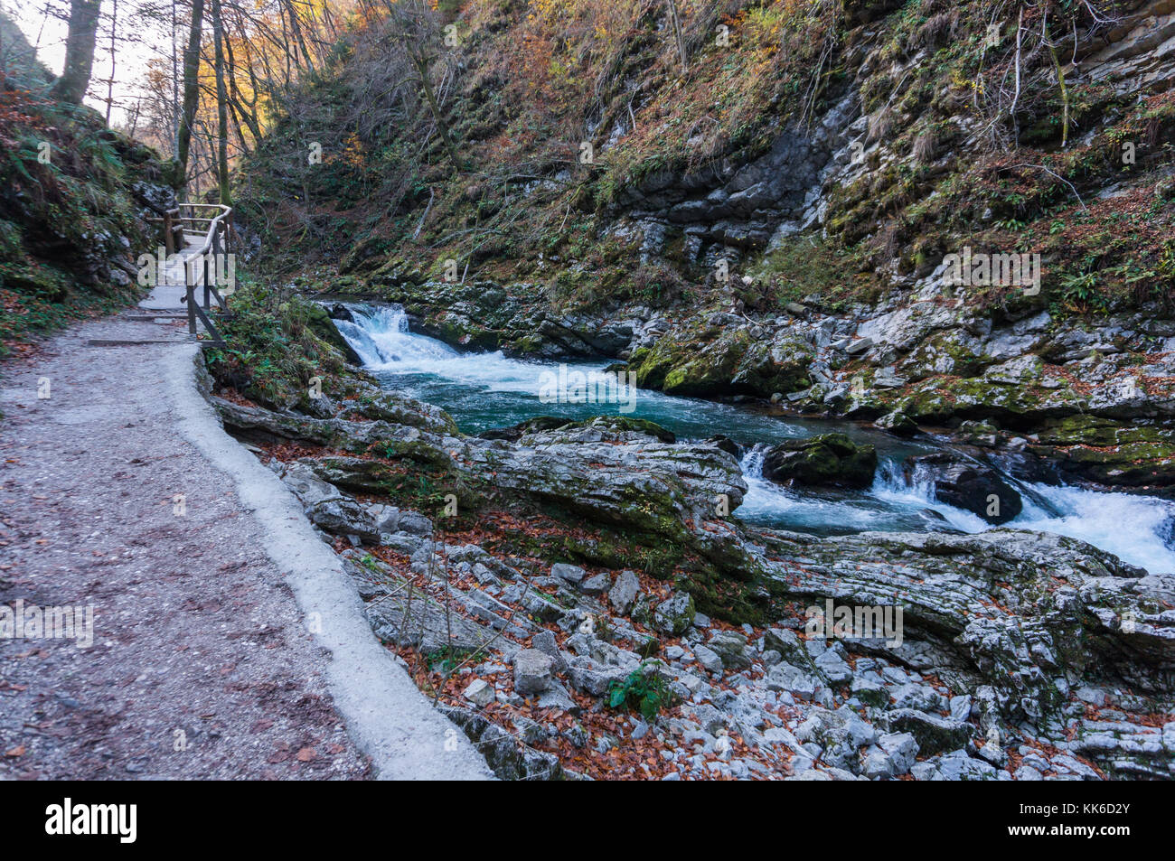 Pathway along the Radovna stream in the Vintgar gorge of Slovenia Stock ...