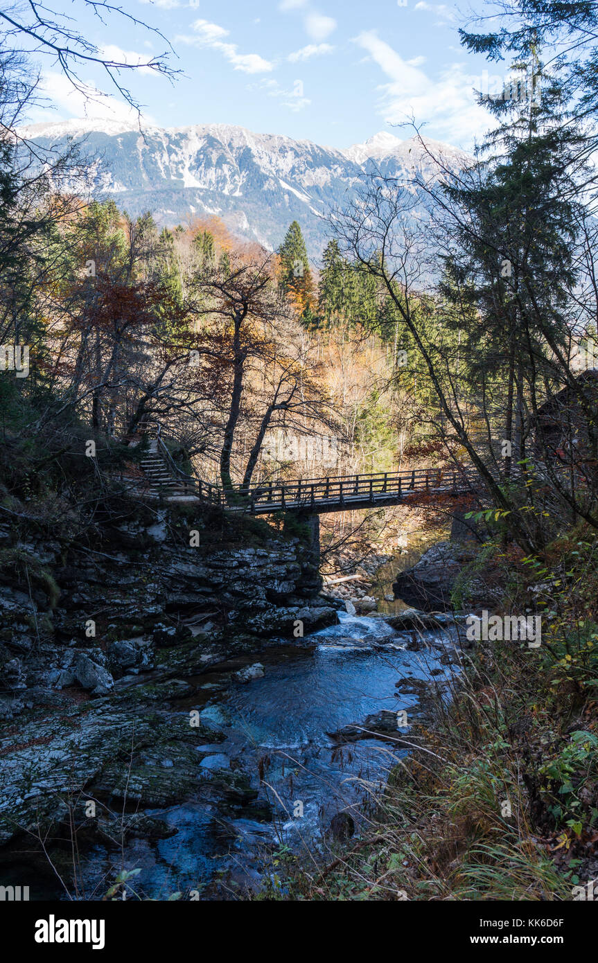 Bridge over the Radovna river with the Alps in the background Stock ...