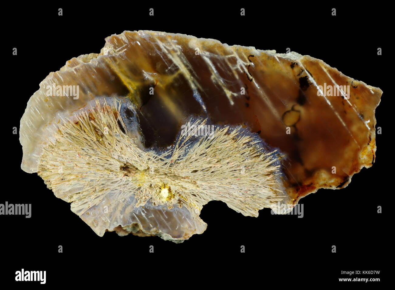 A cross section of the agate stone. Stalactite agate with ...