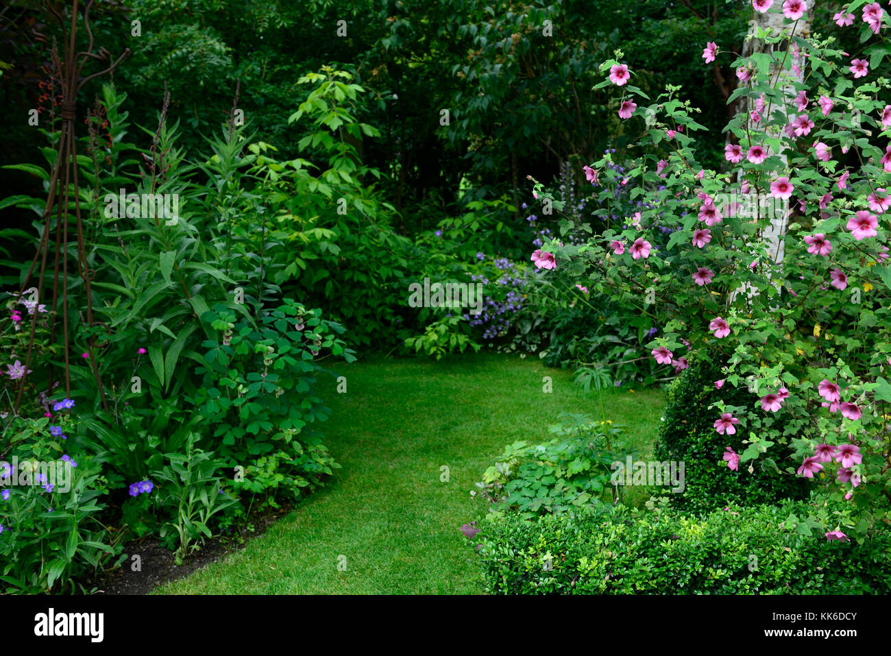 Garden flower bed border hi-res stock photography and images - Alamy
