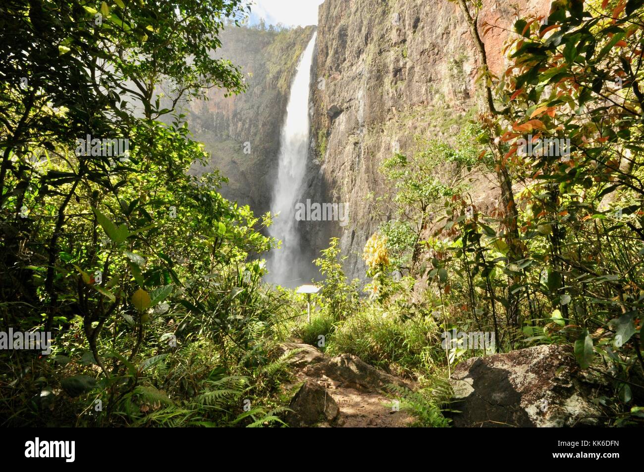 Wallaman Falls in Girringun National Park, Queensland, Australia Stock ...