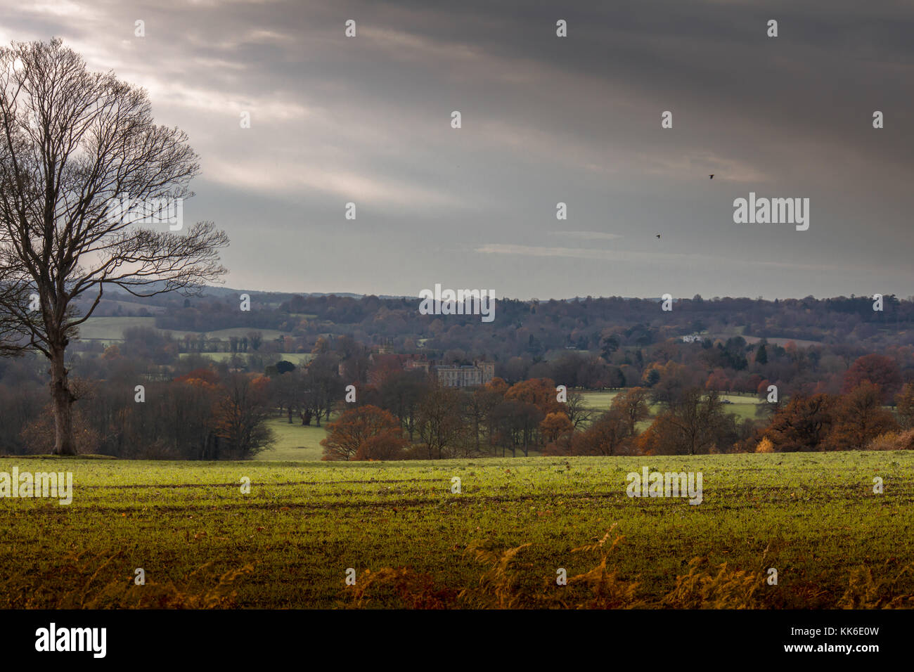 Penshurst Place Tonbridge Kent autumn colours winter walk tourist ...