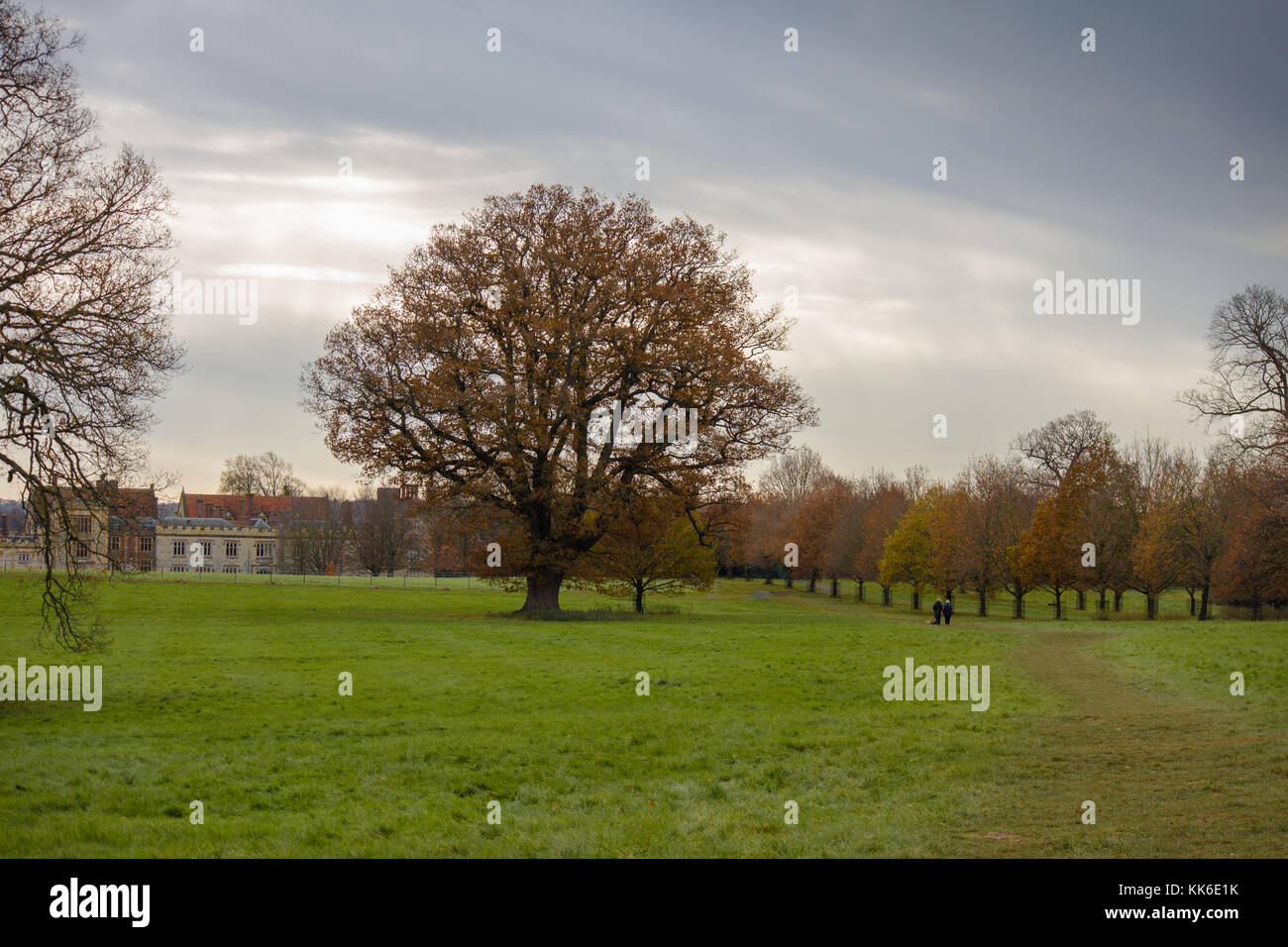Penshurst Place Tonbridge Kent autumn colours winter walk tourist ...