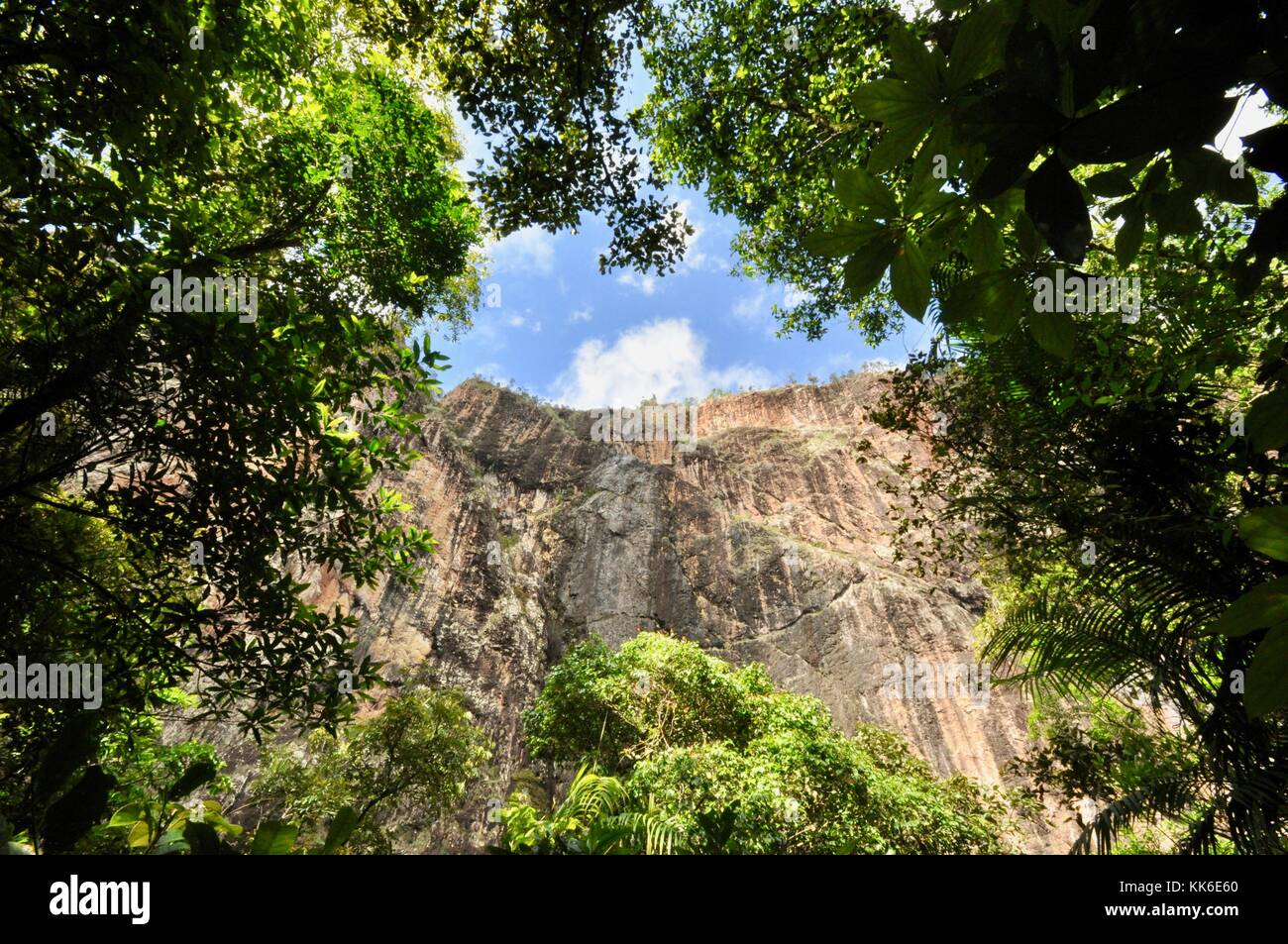 Wallaman Falls in Girringun National Park, Queensland, Australia Stock ...