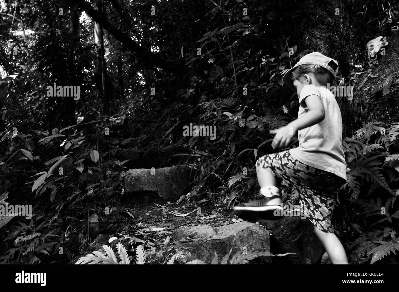 Children walking through a rainforest at Wallaman Falls in Girringun ...